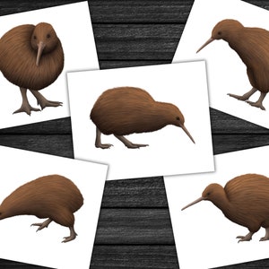 Kiwi Print Set Brown Kiwi Bird Wall Art New Zealand Wildlife Decor ...