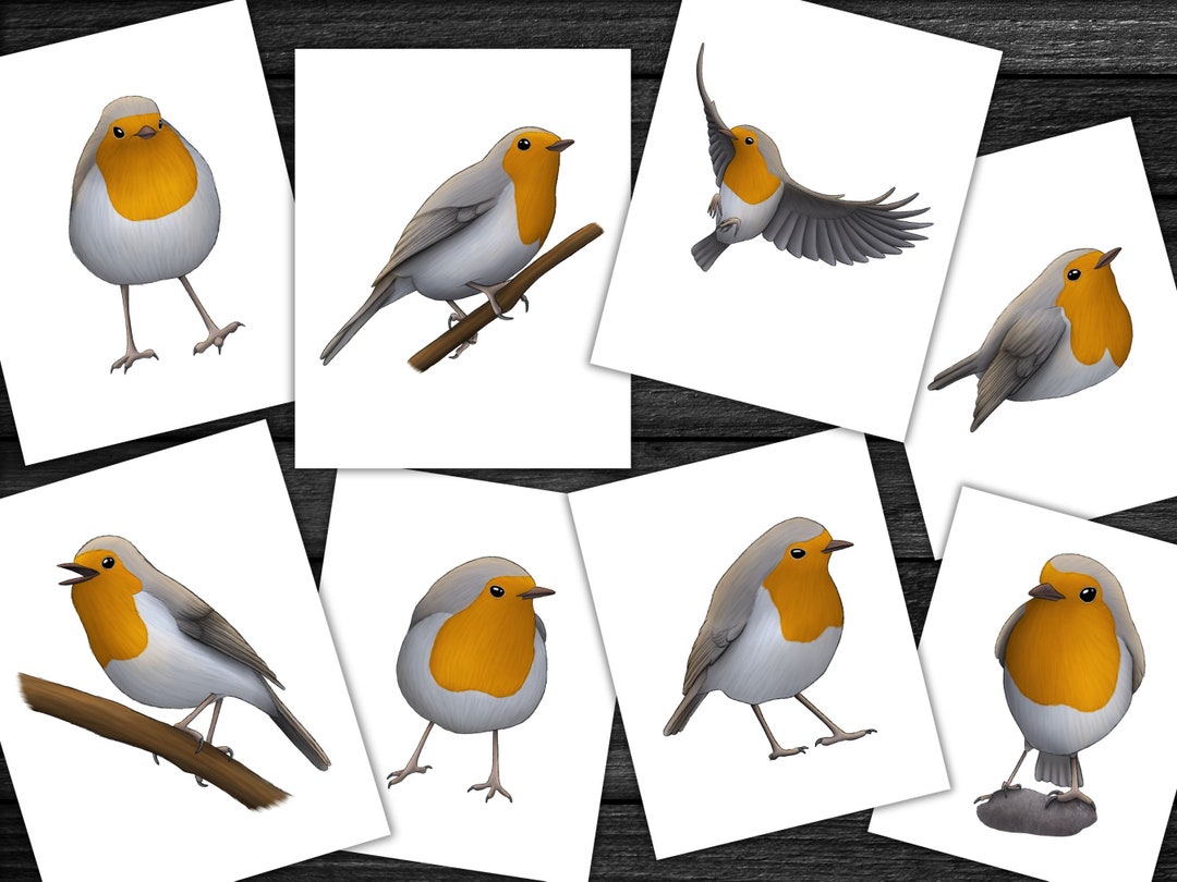 European Robin Print Set Bird Wall Art Rustic Home Decor Avian ...