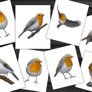 European Robin Print Set Bird Wall Art Rustic Home Decor Avian ...