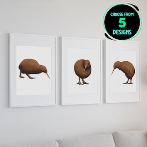 Kiwi Print Set Brown Kiwi Bird Wall Art New Zealand Wildlife Decor ...