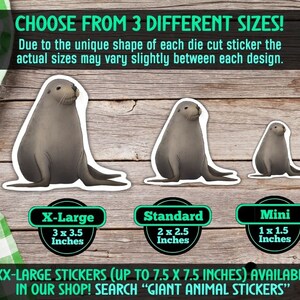 Sea Lion Sticker Pack Waterproof Vinyl Decal Marine Mammal Stationery ...