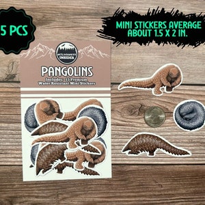 Pangolin Sticker Pack Endangered Animal Decals Conservation - Etsy