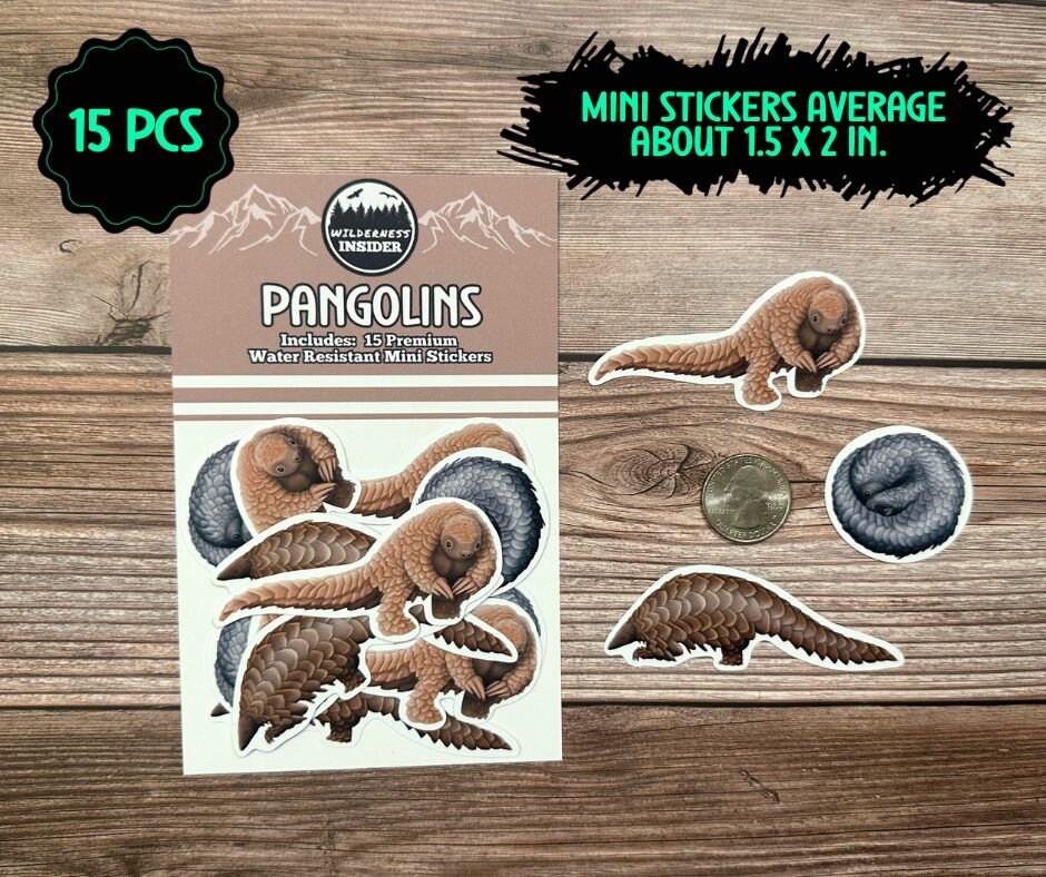 Pangolin Sticker Pack Endangered Animal Decals Conservation - Etsy