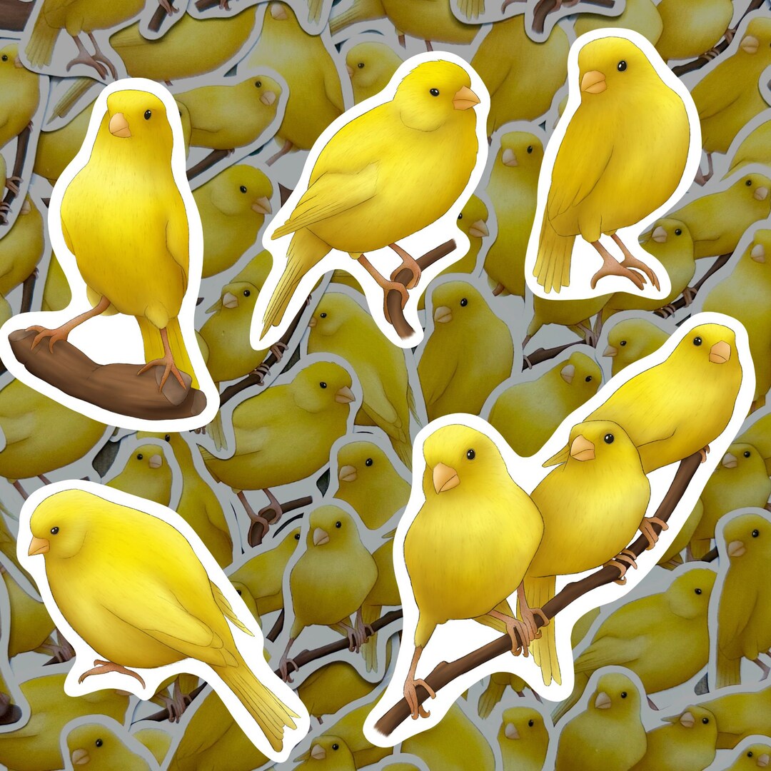 Canary Sticker Pack Songbird Decals Waterproof Vinyl Birdwatcher Gift ...