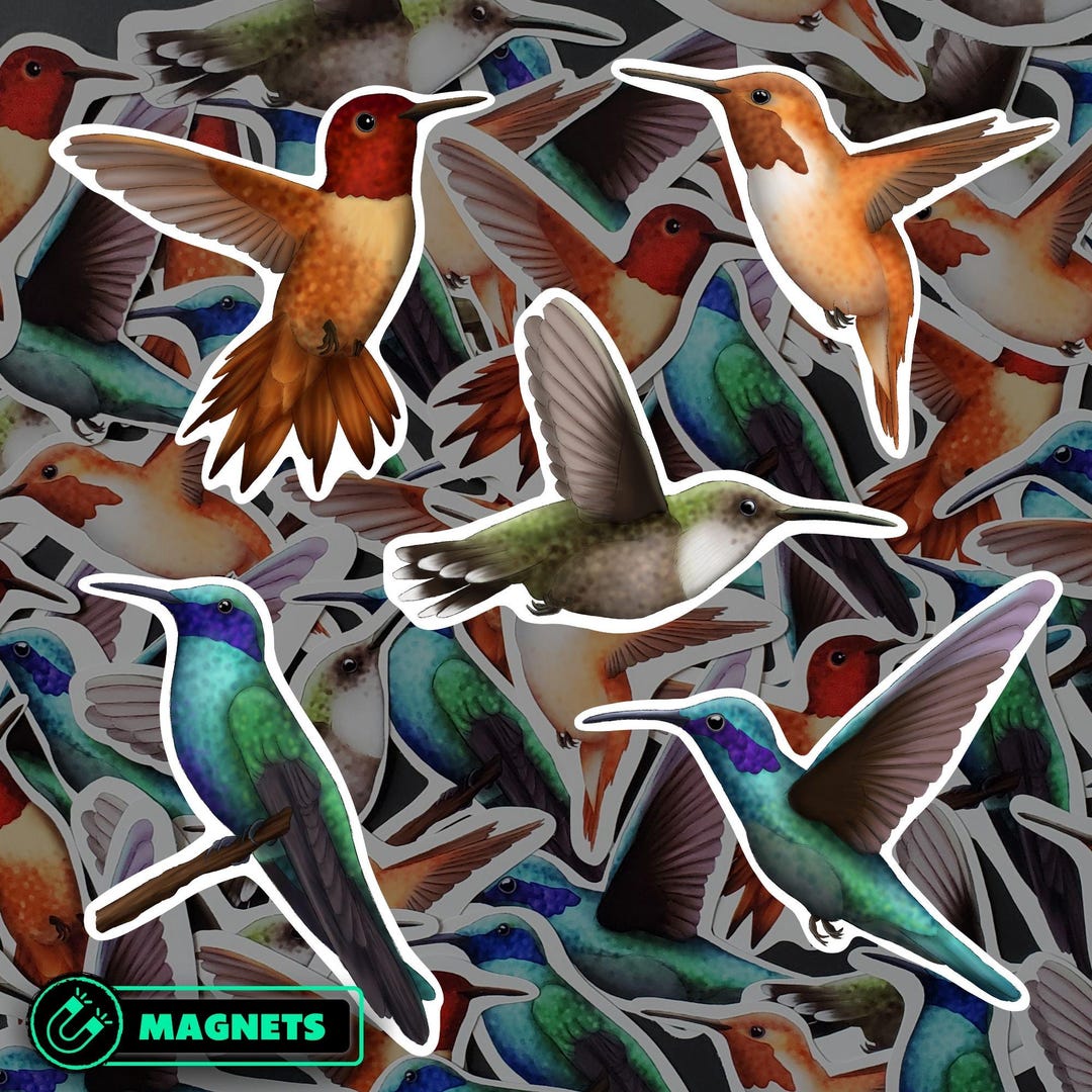 Hummingbird Magnet Set Waterproof Vinyl Bird Magnets for Refrigerator ...
