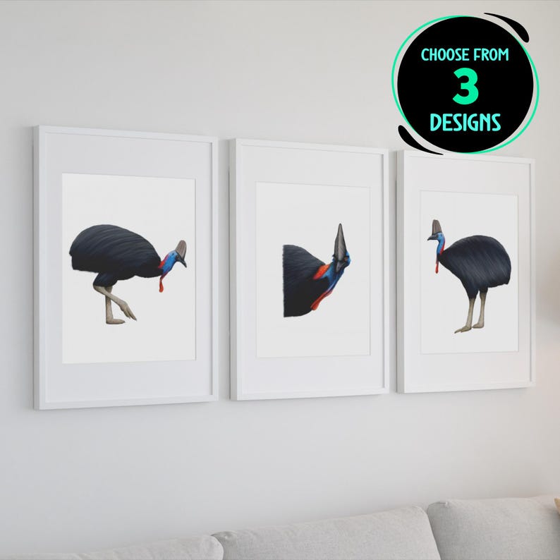 Cassowary Print Set Exotic Bird Artwork Tropical Wildlife Wall Decor ...