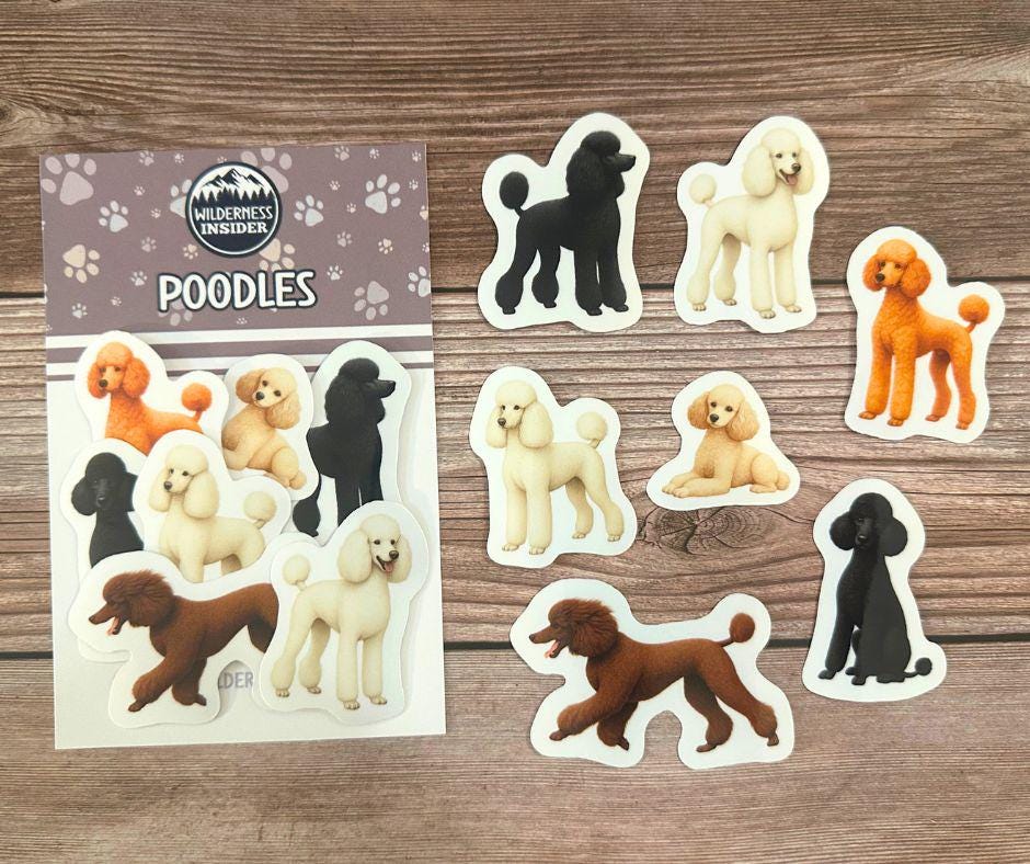 Poodle Stickers Waterproof Vinyl Decals Dog Stationery Gift for Poodle ...