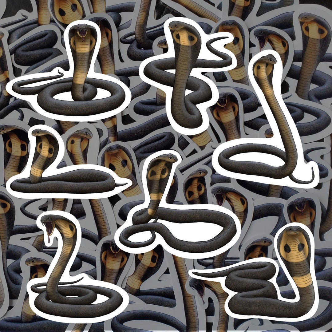 King Cobra Sticker Pack Snake Waterproof Vinyl Decals Serpent Theme ...