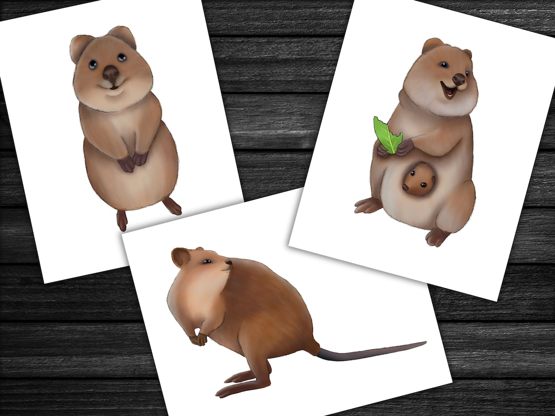 Quokka Art Prints Happy Animal Illustration Australian Wildlife Wall ...