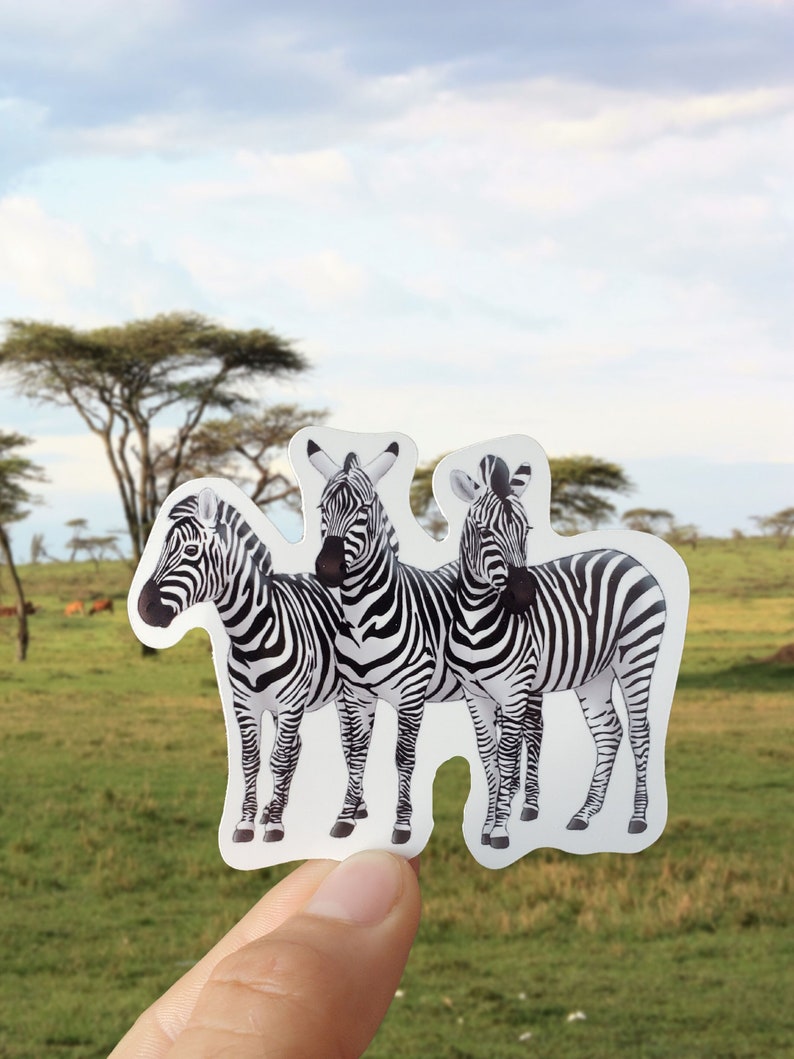 Zebra Stickers Zebra Sticker Pack African Wildlife - Etsy