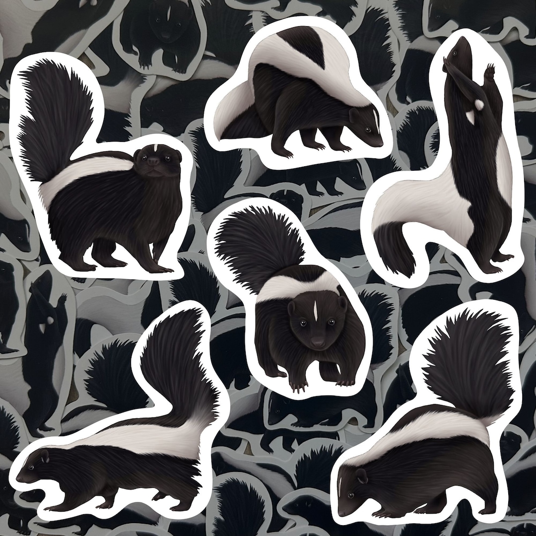 Skunk Sticker Set Forest Animal Decals Cute Critter Vinyl Stickers ...