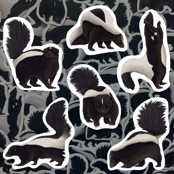 Skunk Sticker - Etsy