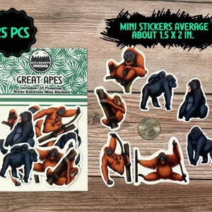 Great Apes Sticker Pack Primate Decals Waterproof Vinyl Lowland Gorilla ...