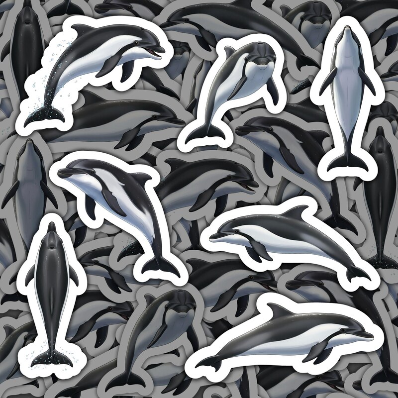 Pacific Ocean Water Gift - 60+ Gift Ideas for 2026