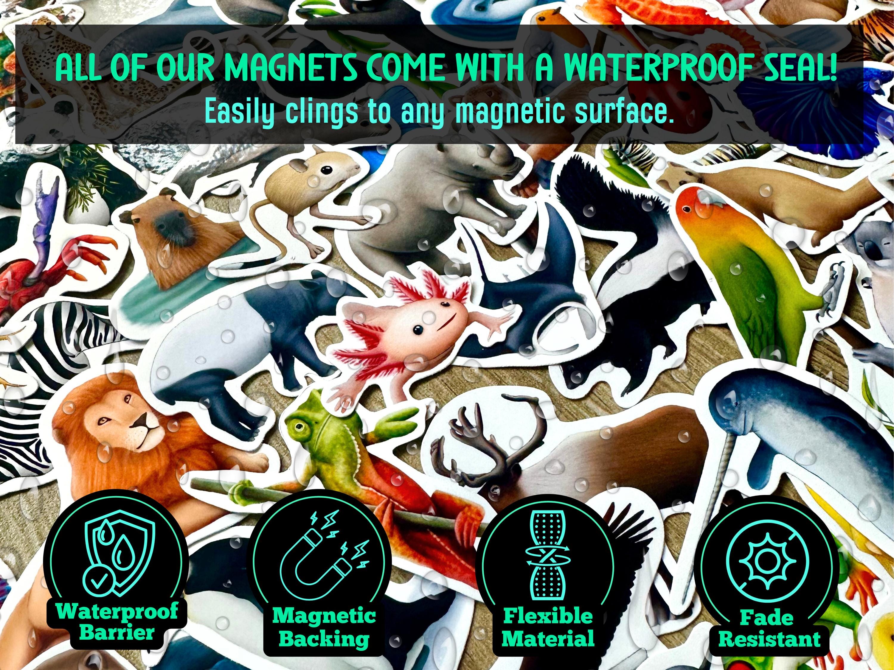 Animal Magnet Pack Assorted Waterproof Magnetic Decals Gift for Nature ...