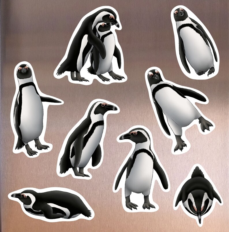 African Penguin Magnet Set Waterproof Vinyl Animal Magnets for ...