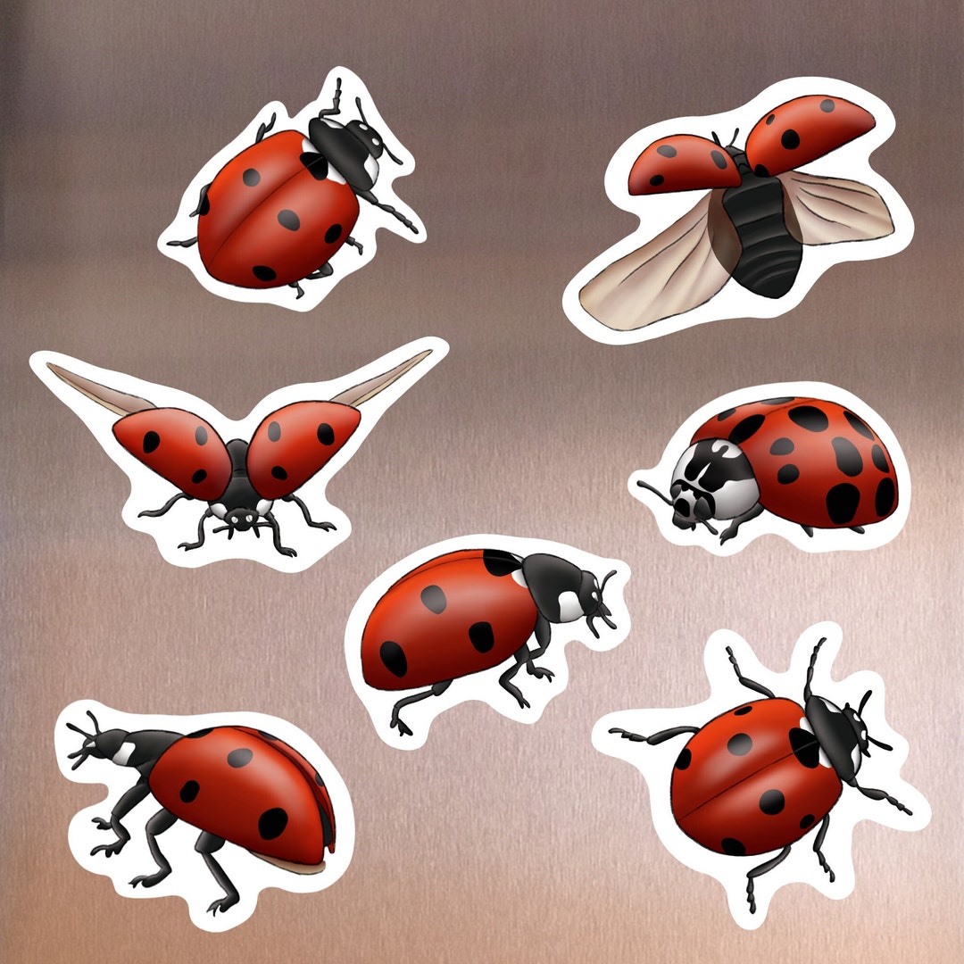 Lady Bug Magnet Set Waterproof Vinyl Insect Magnets for Refrigerator ...