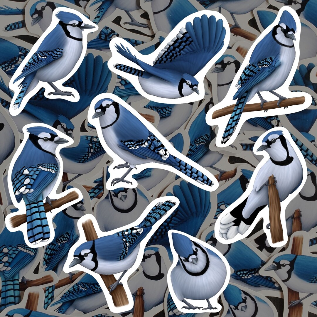 Bluejay Sticker Pack Blue Bird Waterproof Vinyl Decal Forest Wildlife ...