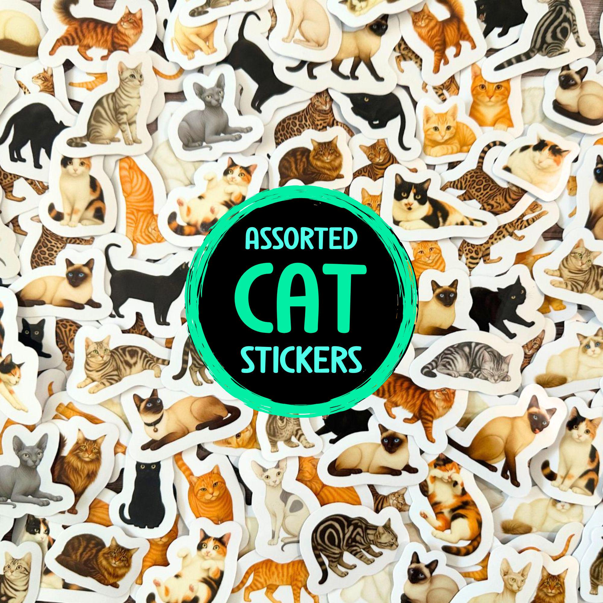 Assorted Cat Stickers Pack Cat Breeds Vinyl Stickers Waterproof Feline ...