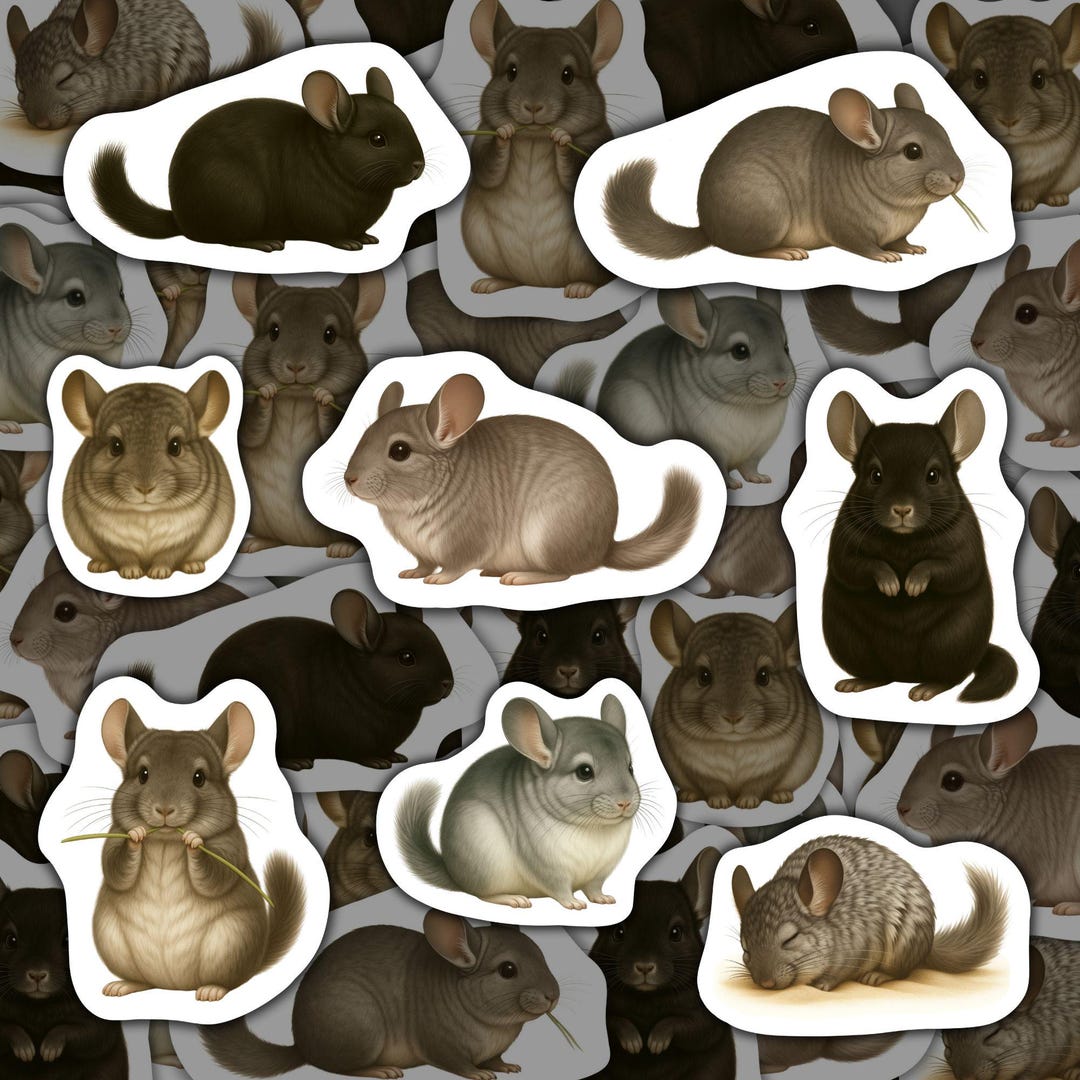 Chinchilla Stickers Vinyl Decals Waterproof Cute Chin Stationery Pet ...
