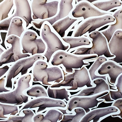 Sea Lion Sticker - Etsy