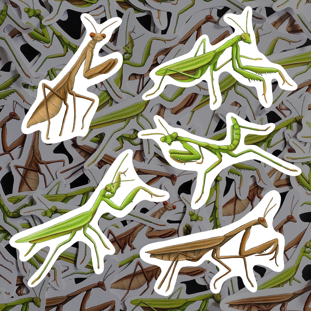 Praying Mantis Sticker Pack Insect Decal Entomology Vinyl Waterproof ...