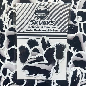 Skunk Sticker Set Forest Animal Decals Cute Critter Vinyl Stickers ...