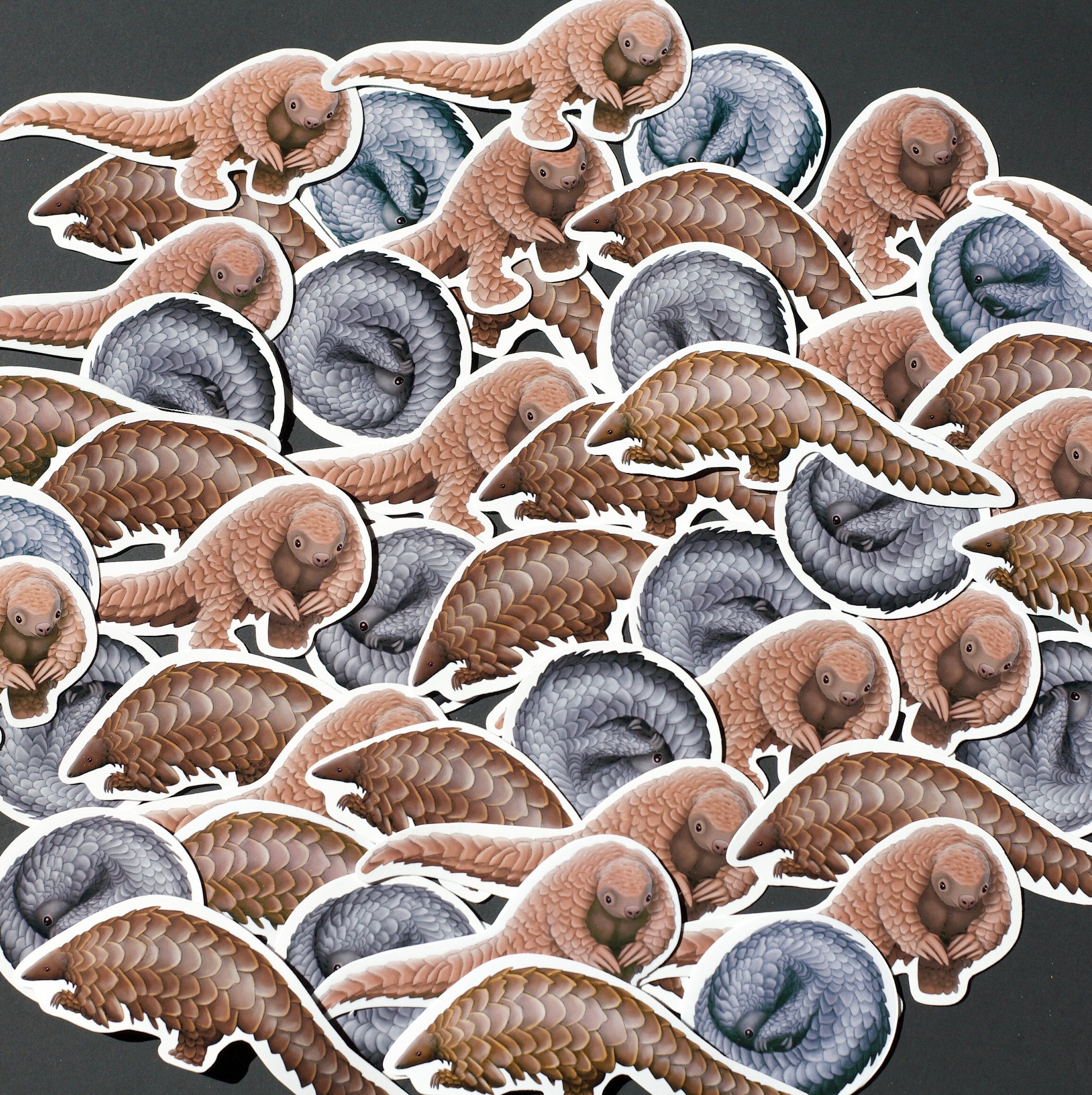 Pangolin Stickers Animal Sticker Pack 3 Pcs Water Proof | Etsy