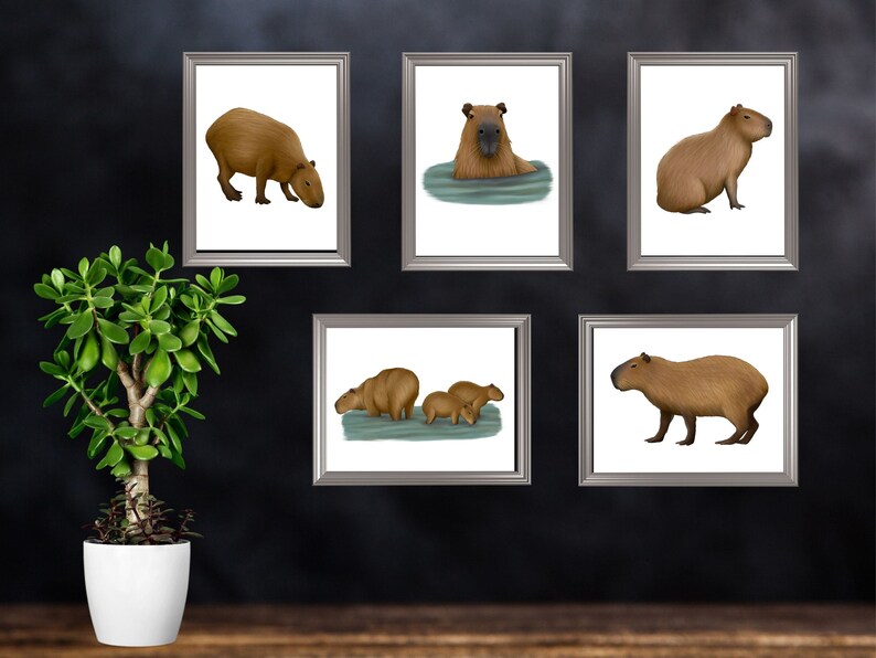 Capybara Prints / Capybara Wall Art / Capybara Collection / Animal ...