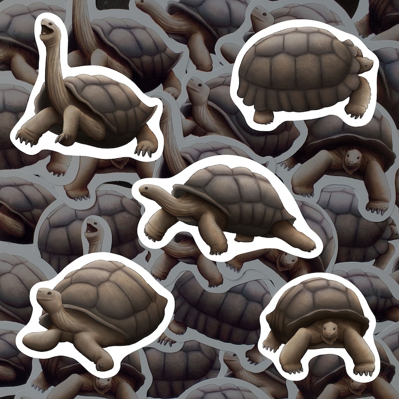 Giant Tortoise Sticker Pack Galapagos Tortoise Waterproof Vinyl Decal ...