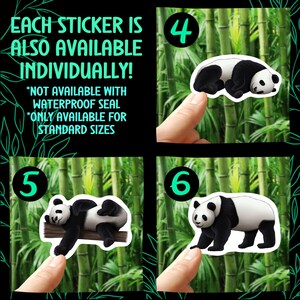 Giant Panda Sticker Pack Bear Decals Endangered Species Vinyl Stickers ...