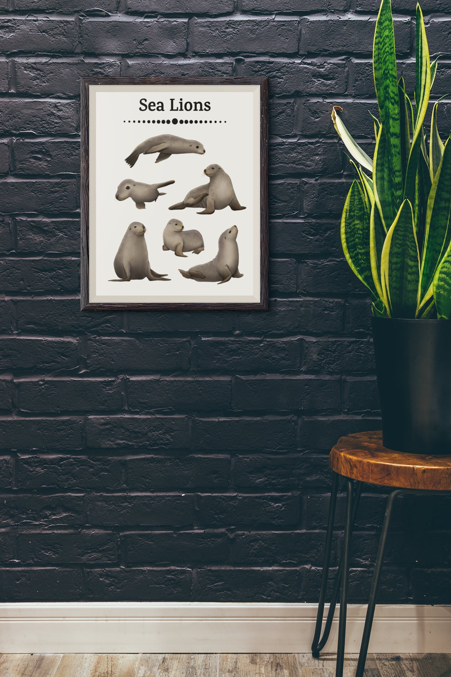 Sea Lion Print / Sea Lion Poster / Sea Lion Wall Art / - Etsy