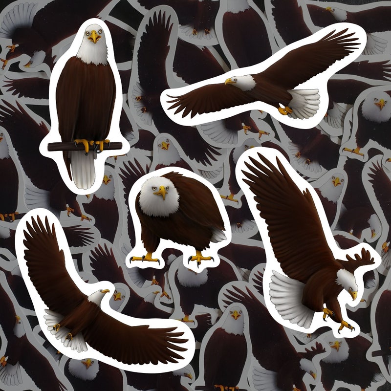 Eagle Decals - Etsy