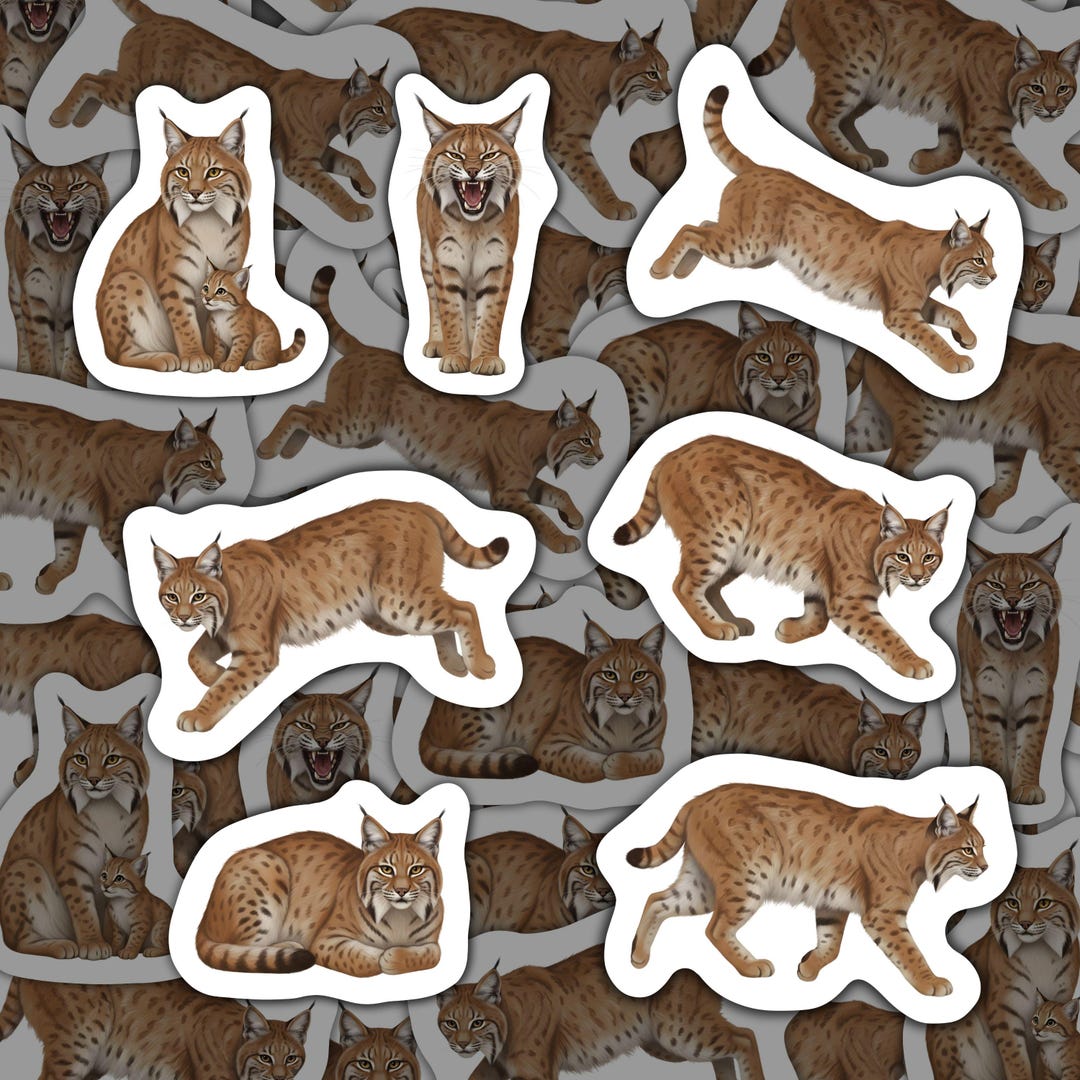 Bobcat Stickers Vinyl Decals Waterproof Wildlife Stationery Big Cat ...
