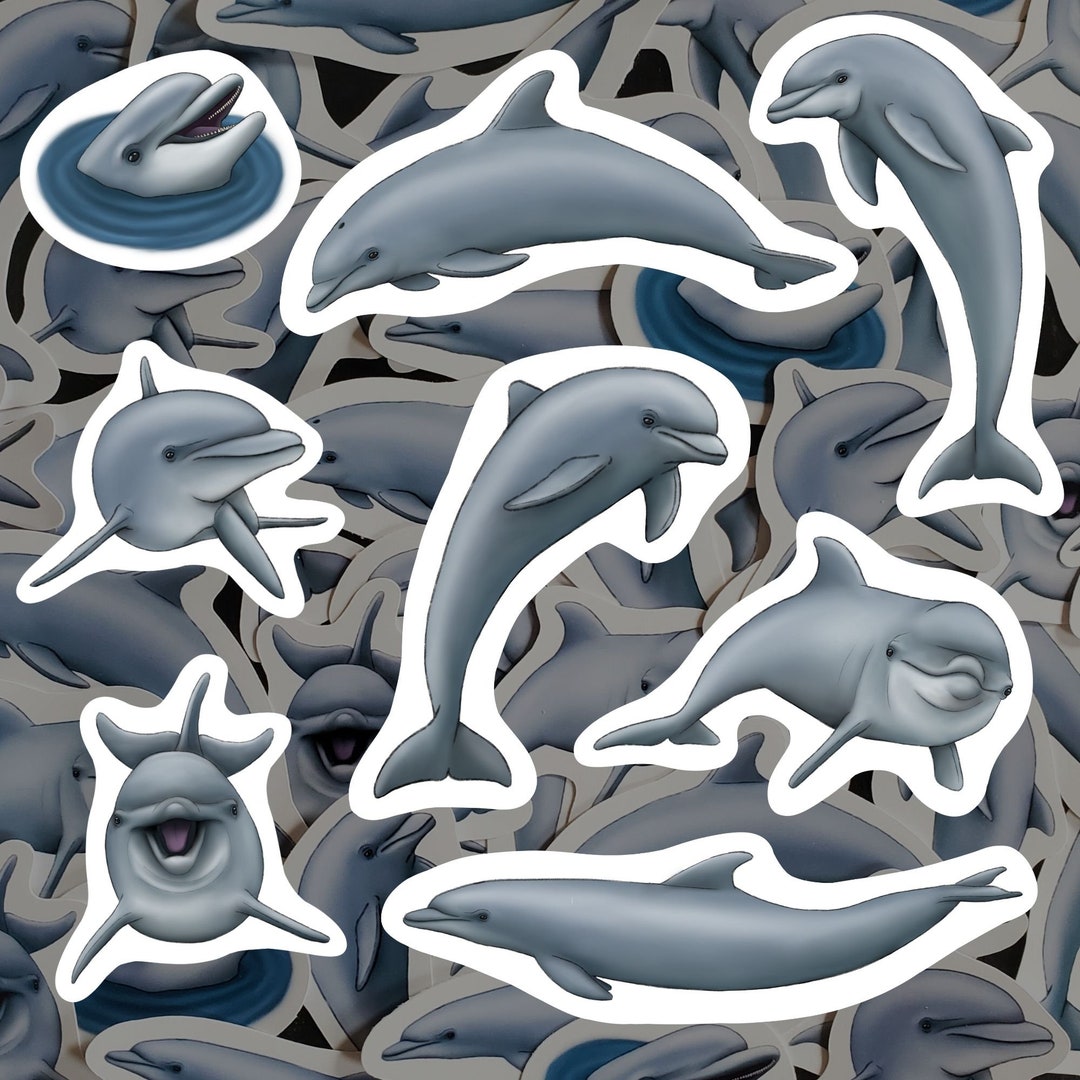 Bottlenose Dolphin Sticker Pack Waterproof Vinyl Decal Marine Life ...