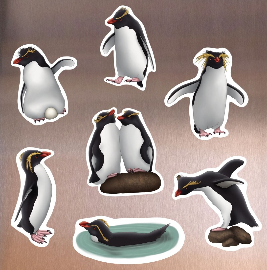 Rockhopper Penguin Magnets, Animal Magnet Pack, 7 Pcs, Penguin Home ...
