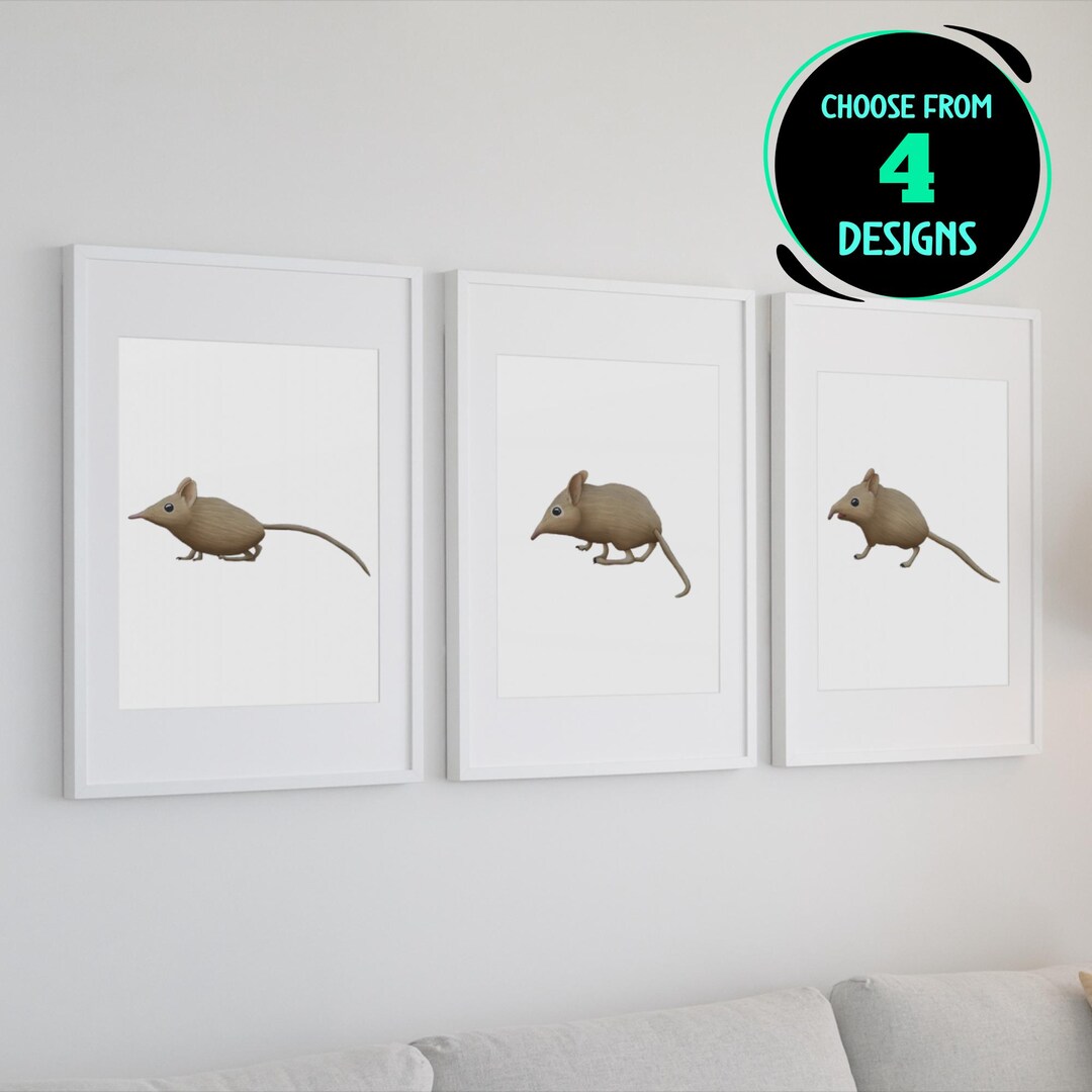 Elephant Shrew Print Pack Sengi Artwork Jumping Shrew Sketch Home ...