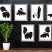 Skunk Art Prints Wildlife Wall Decor Black and White Animal ...