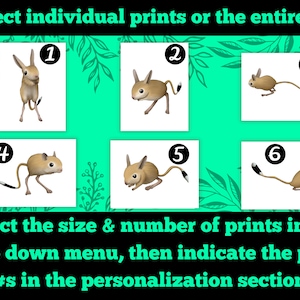 Jerboa Art Prints Desert Animal Wall Decor Rodent Illustration Modern ...