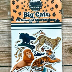 Big Cat Stickers, Mini Sticker Pack, Wildlife Stationary, Water Proof ...