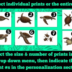 Sea Turtle Print Set Coastal Wildlife Wall Decor Turtle Artwork ...