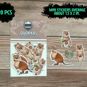 Quokka Sticker Pack Smiling Quokka Vinyl Decals Australian - Etsy