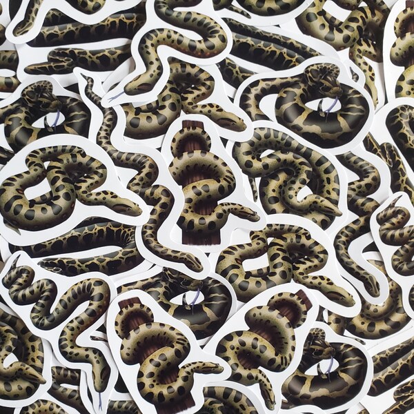 Anaconda - Etsy