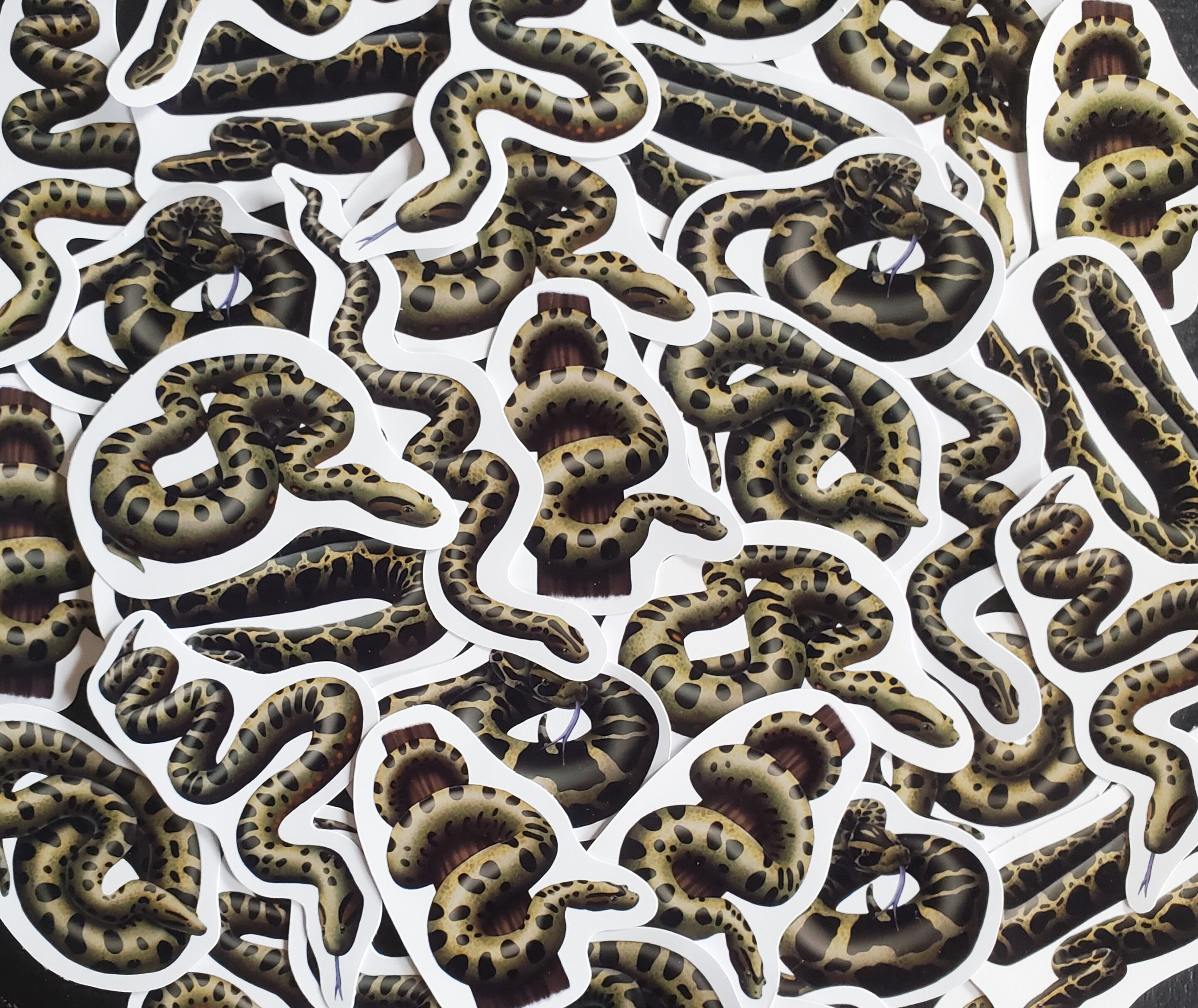 Anaconda Sticker Pack Rainforest Waterproof Vinyl Decal Jungle Wildlife ...