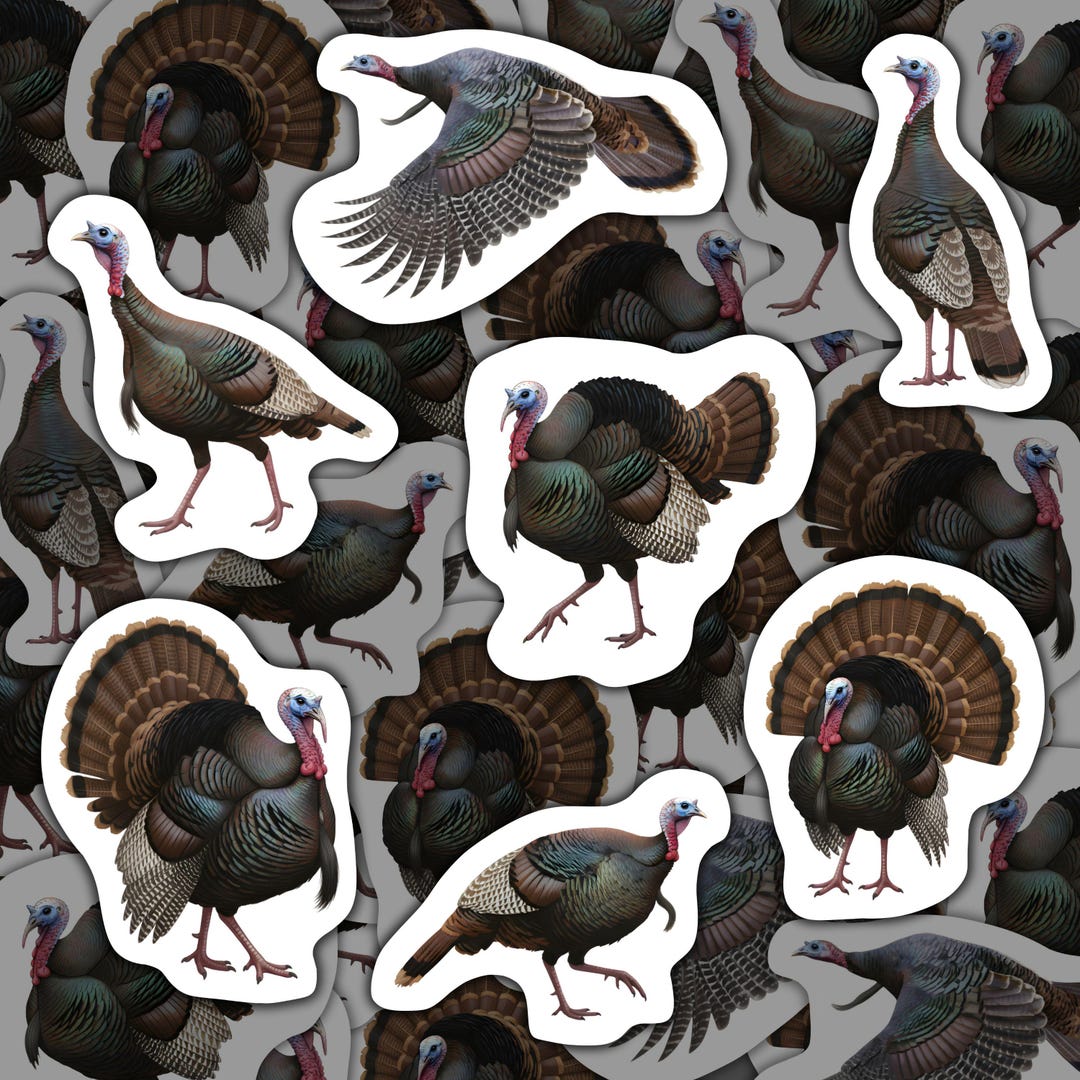 Turkey Stickers Vinyl Decals Waterproof Wildlife Stationery Gift for ...