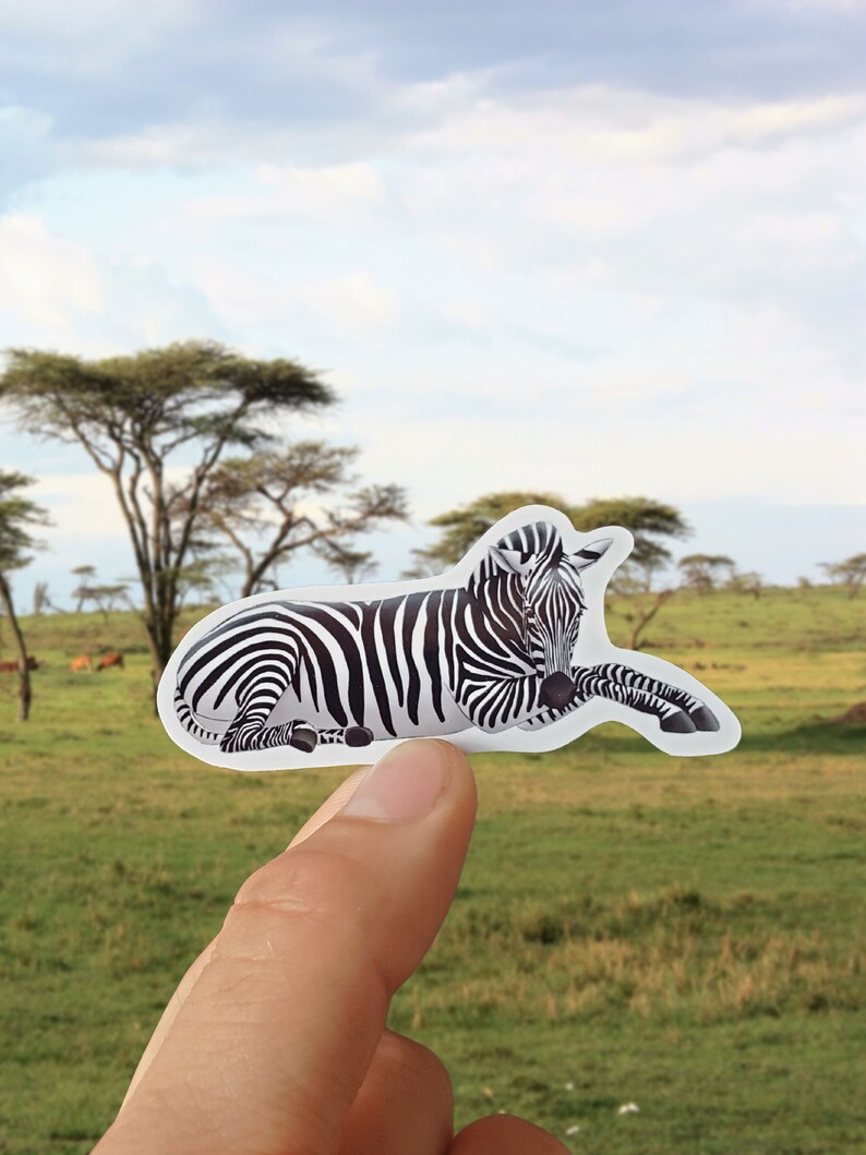 Zebra Stickers Zebra Sticker Pack African Wildlife - Etsy