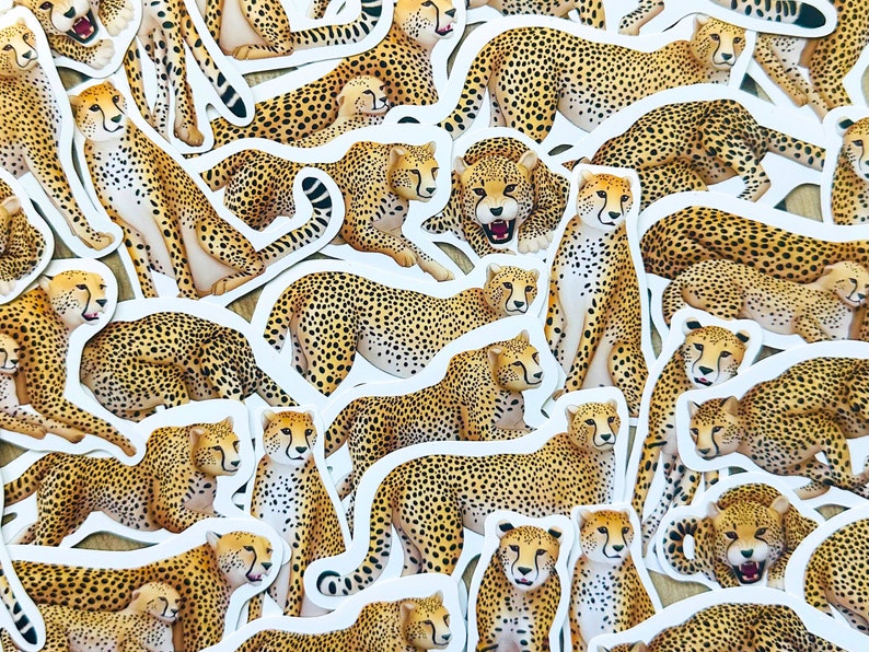 Cheetah Sticker Pack Waterproof Vinyl Decal Safari Wildlife Stationery ...