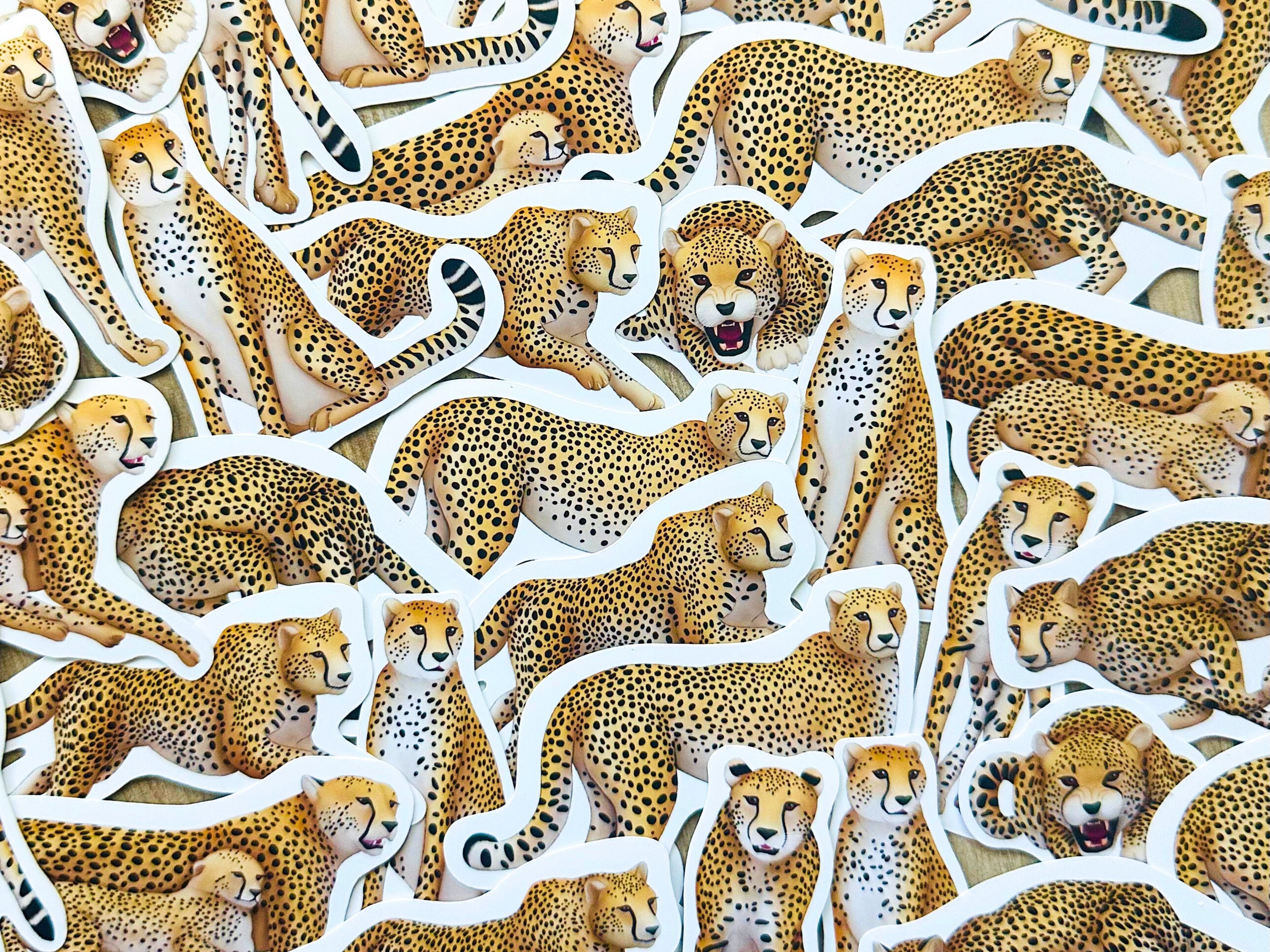 Cheetah Sticker Pack Waterproof Vinyl Decal Safari Wildlife Stationery ...