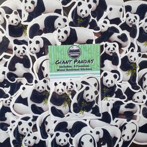 Giant Panda Sticker Pack Bear Decals Endangered Species Vinyl Stickers ...