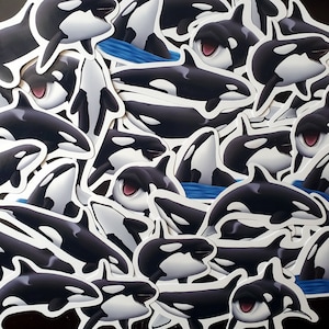 Orca Sticker Pack Killer Whale Vinyl Decal Marine Life Stationery Gift ...